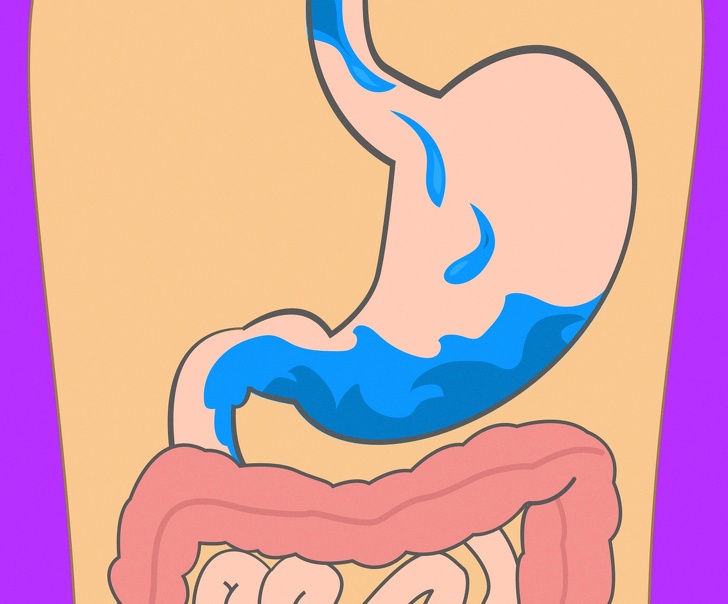 How Long Different Foods Take to Digest and Why It’s Important to Know ...