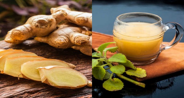 How to Use Ginger Effectively To Cure Colds and Coughs? - Gardening ...