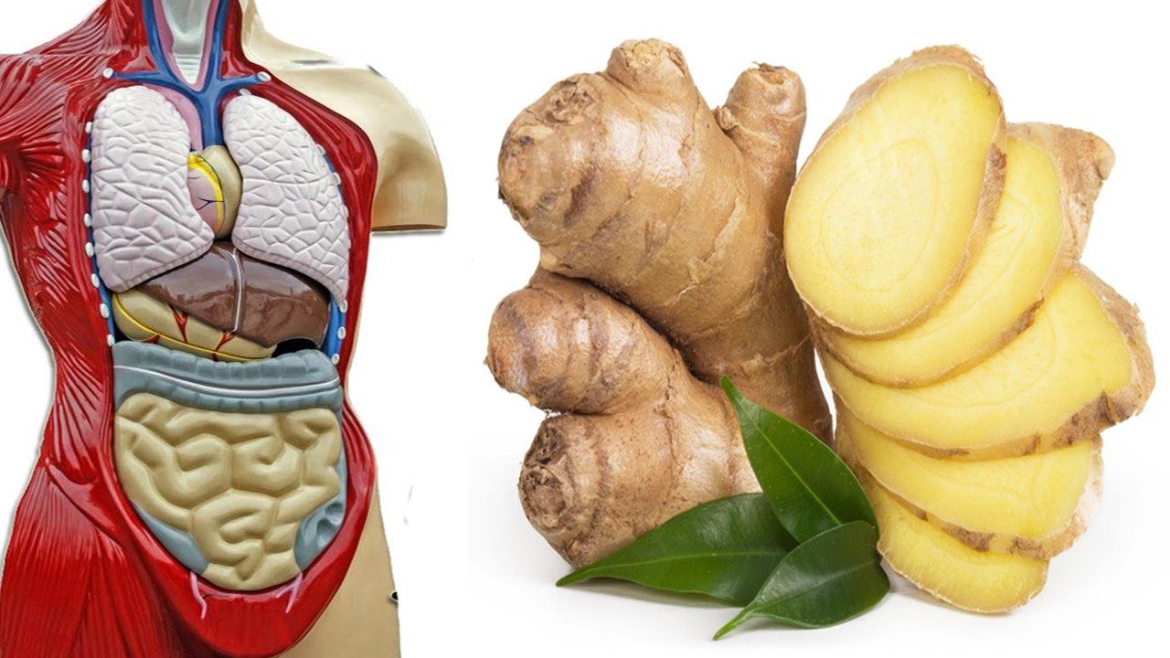 Eat Ginger For 1 Month and See What Happens To Your Body! - Gardening ...
