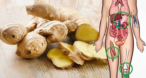 Eat Ginger For 1 Month and See What Happens To Your Body! - Gardening ...