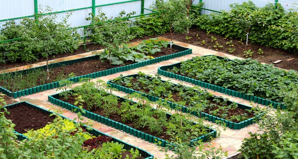 How to Start a ‘No Dig’ Garden- Work an Pay Less and Grow More - Page 3 ...