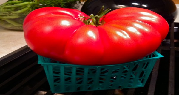 How To Grow Huge Tomatoes – 3 Tomato Varieties That Grow BIG! - Page 2 ...